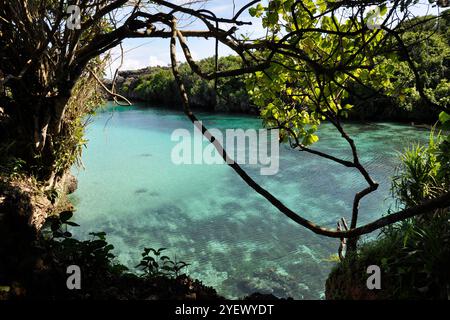 Indonesia. Sumba island. Waikuri secret pool Stock Photo - Alamy