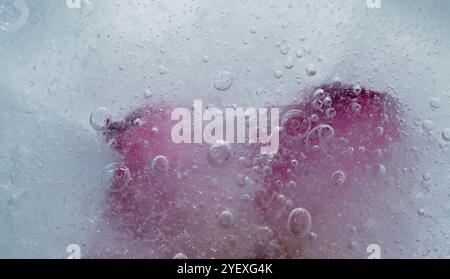 Frangipani flower frozen within a block of ice, air bubble texture ...
