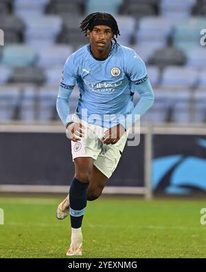 Reigan Heskey Of Manchester City during the Huddersfield Town AFC v ...