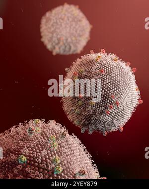 Respiratory syncytial virus (RSV), illustration Stock Photo - Alamy