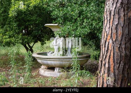 Lost places at Alberoni beach on the island of Lido in the Venice ...