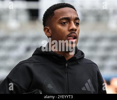 Joe Willock of Newcastle United arrives ahead of the Premier League ...