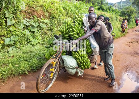 Villagers going to market to sell bananas and other goods, Southern ...