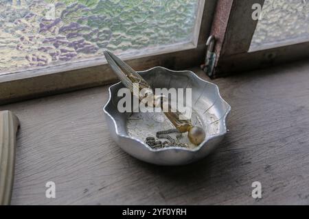 Tiaong, Philippines,Asia. 1st Nov,2024: Exclusive visit to one of most ...