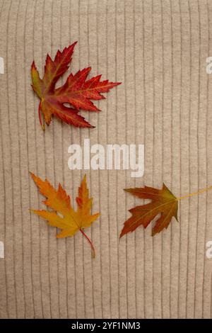 Macro knitted flat lay texture background. Close up pattern. Wool ...