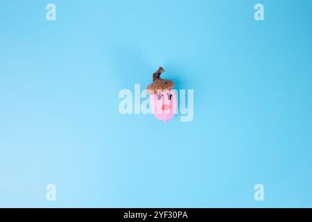an acorn with a face drawn on it, placed against a light blue ...