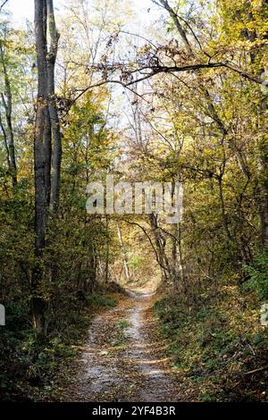 Seasonal natural scene, Tribec mountain range, Slovak republic. Travel ...