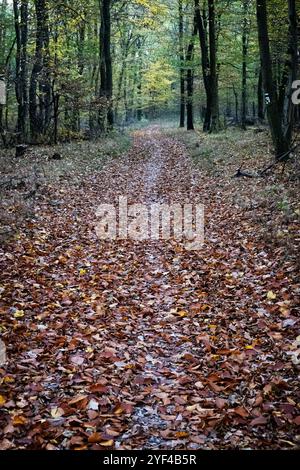 Seasonal natural scene, Tribec mountain range, Slovak republic. Travel ...
