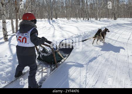 Kamchatka Peninsula, Russia: Kamchatka Kids Competitions Sled Dog Race ...