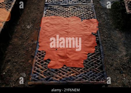 Process leather drying under the Sun at a tannery Stock Photo - Alamy