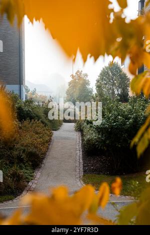A vibrant garden scene with two bushes, each adorned with bright yellow ...