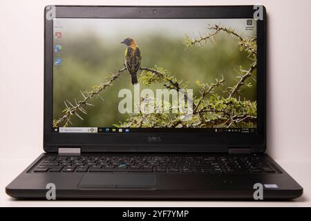 Dell Latitude 5580 Laptop Computer Stock Photo - Alamy