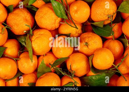 Sweet ripe Mandarin with green leaves Stock Photo - Alamy