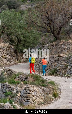 Female hikers exploring lush greenery and rugged terrain Stock Photo ...