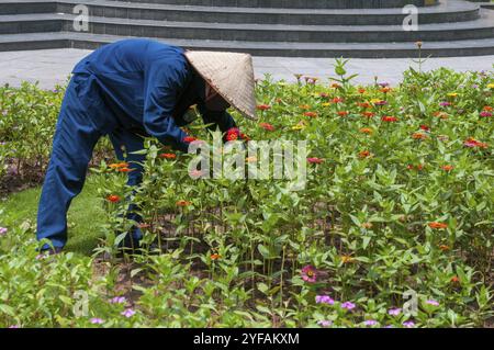 Two gardener are taking care of flowers with secateurs and watered it ...