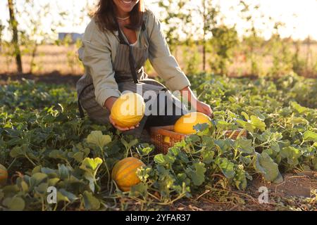 Ripe melons with green leaves in basket on table close up Stock Photo ...