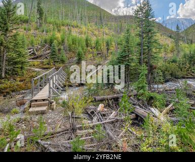 Wooden footbridge over Numa Creek In Kootenay National Park, British ...