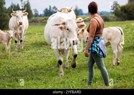 A woman stands near cows in a grassy field, with two cows and a calf ...
