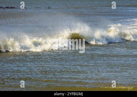 Wind blown breaking waves in the Pacific Ocean at Herbertville, Tararua ...