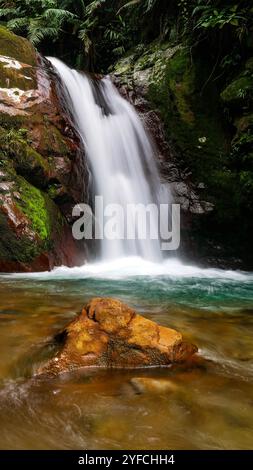 View of a small waterfall flowing around big rocks with small plants ...