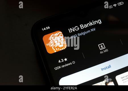 In this photo illustration, the ING logo is seen displayed on the ...
