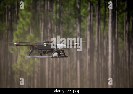 October 8, 2024 - Eglin Air Force Base, Florida, USA - An eight-foot ...