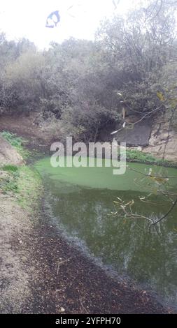 retention basin in flood protection, preventive measure against natural ...