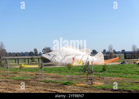Arcadia, Victoria, Australia, 12th Aug 2024; The Construction of Worlds ...