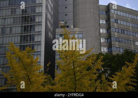 Scenic cityscape depicting Umeda district in Osaka, Japan Stock Photo ...