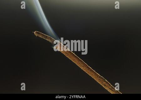 Trajectory of incense smoke in the air showing different shapes. France ...
