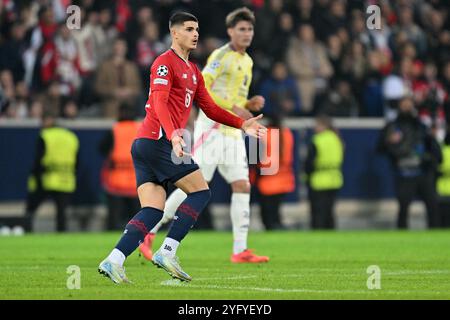 19 Matias Fernandez PARDO (losc) during the Ligue 1 McDonald's match ...