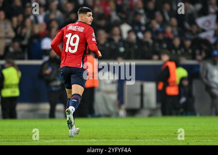 19 Matias Fernandez PARDO (losc) during the Ligue 1 McDonald's match ...
