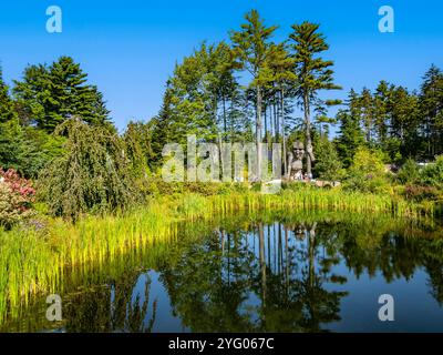 giant troll, Roskva, in the Coastal Maine Botanical Gardens in Boothbay ...