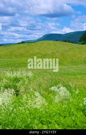 The Maya Lin earthwork sculpture, Wavefield. An undulating, curved ...