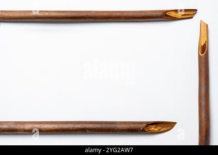 Set of calligraphy reeds isolated over white background. Reeds pen ink ...