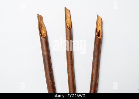 Set of calligraphy reeds isolated over white background. Reeds pen ink ...