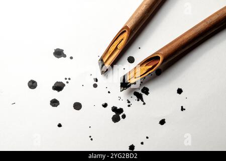 Calligraphy reeds covered ink on white paper. Reeds pen ink for writing ...