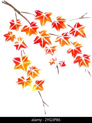 Momiji (Japanese maple tree Stock Photo - Alamy