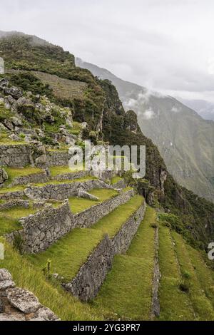 Terraces used for farming at Machu Picchu, Machu Picchu, Cusco Region ...