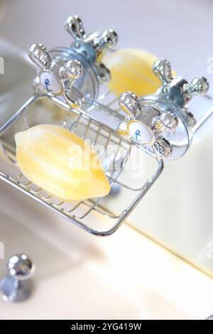 Lemon-shaped soap and soap holder Stock Photo - Alamy