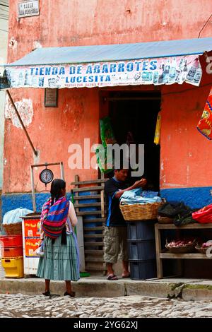Aymara woman wearing a pollera skirt standing outside a grocery store ...