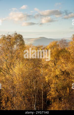 Beautiful Autumn Fall landscsape image of Peak District during peak ...