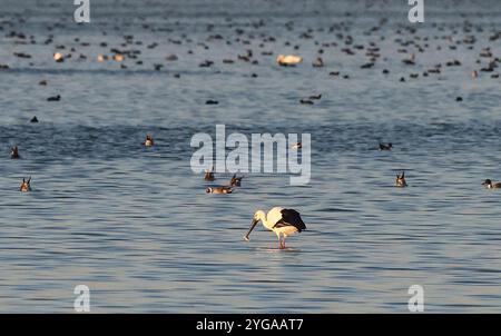 The water level gradually drops in the muddy Rongjiang River, upper ...