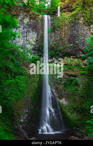 Silver Falls State Park Stock Photo - Alamy