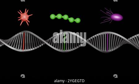 Precision Microbiome Editing. DNA strand with various bacteria ...