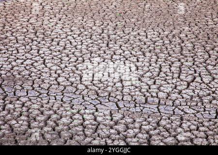 Kenya, Mud cracks, Ol Pejeta Conservancy, Abstract, Drying mud puddle ...