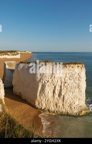Chalk cliffs and stacks on the beach at Botany Bay near Broadstairs on ...