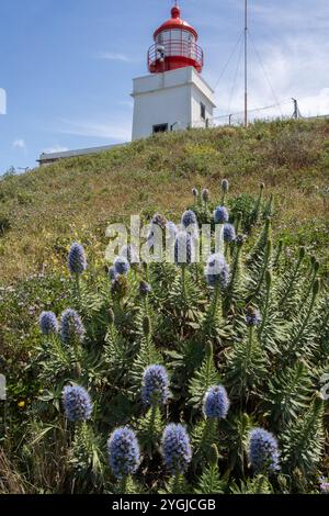 A vertical shot of a beautiful lighthouse in the forest Stock Photo - Alamy