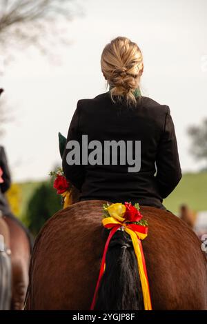 festively decorated horse, rider, back view, detail, customs, Bavaria ...