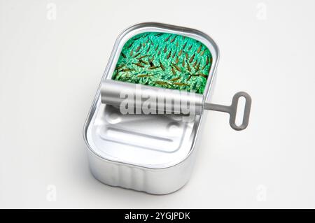 Tin can, fish, symbolic image of overfishing Stock Photo - Alamy